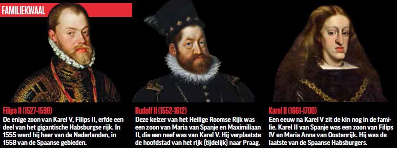 Historisch Nieuwsblad - De Habsburgse kin
